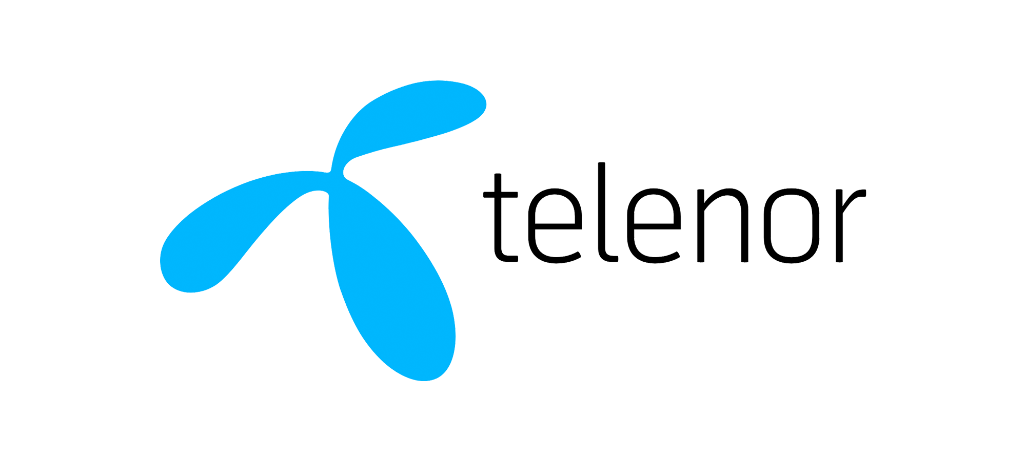 Case Study: Telenor Sverige